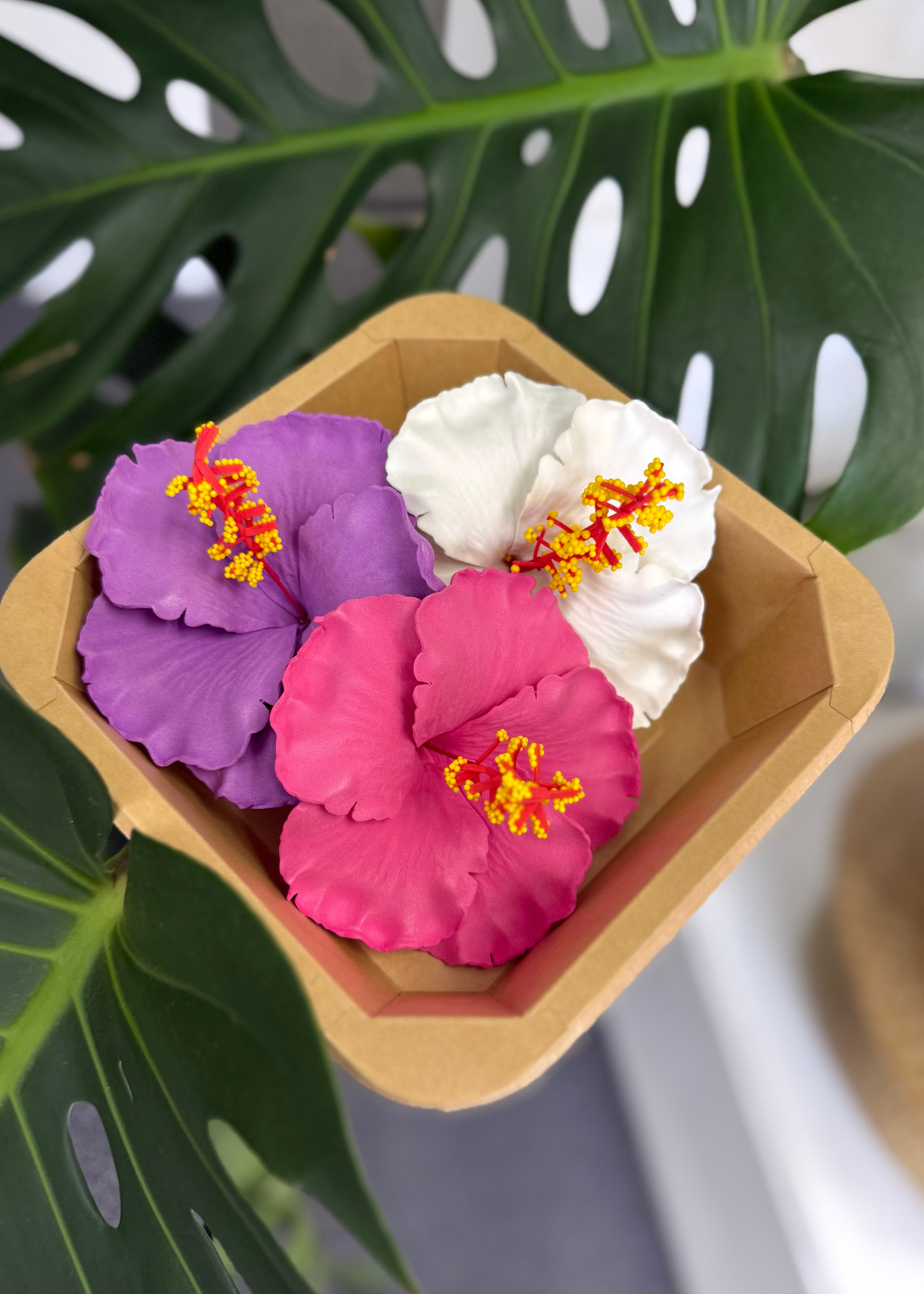 Hair Sei x3 – MENA